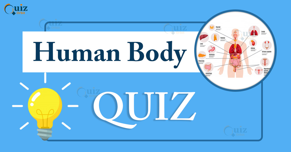 Human Body Quiz Human Body General Knowledge Questions Quiz Orbit Human Body Quiz Human Body General Knowledge Questions Quiz Orbit