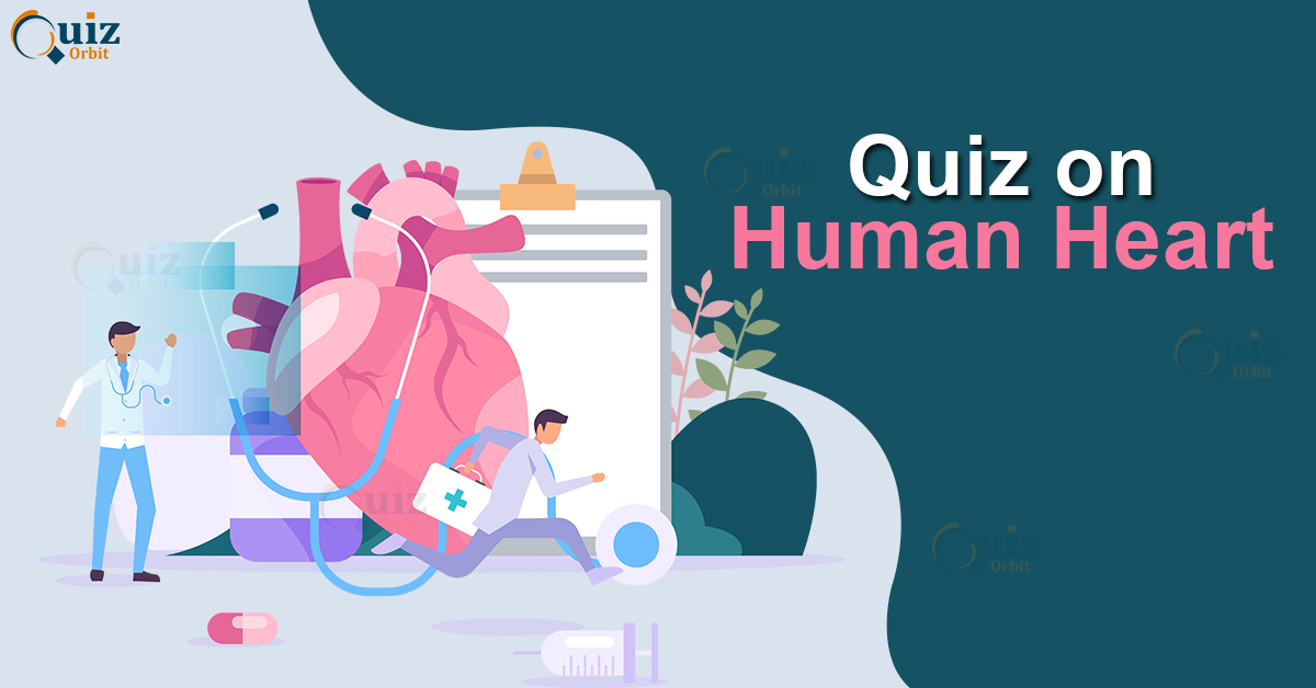 Science Quiz on the Human Heart - Quiz Orbit